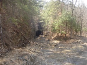 Green Ridge State Forest Trail Ride | Capital Off Road Enthusiasts, Inc.